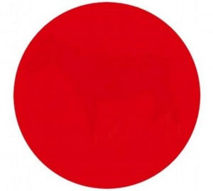 Este círculo rojo está confundiendo a toda la web – Laura G